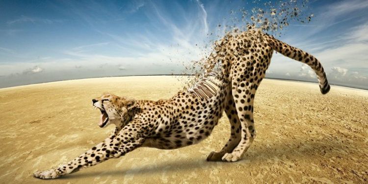 8 Potret hasil manipulasi master Photoshop, kerennya kebangetan