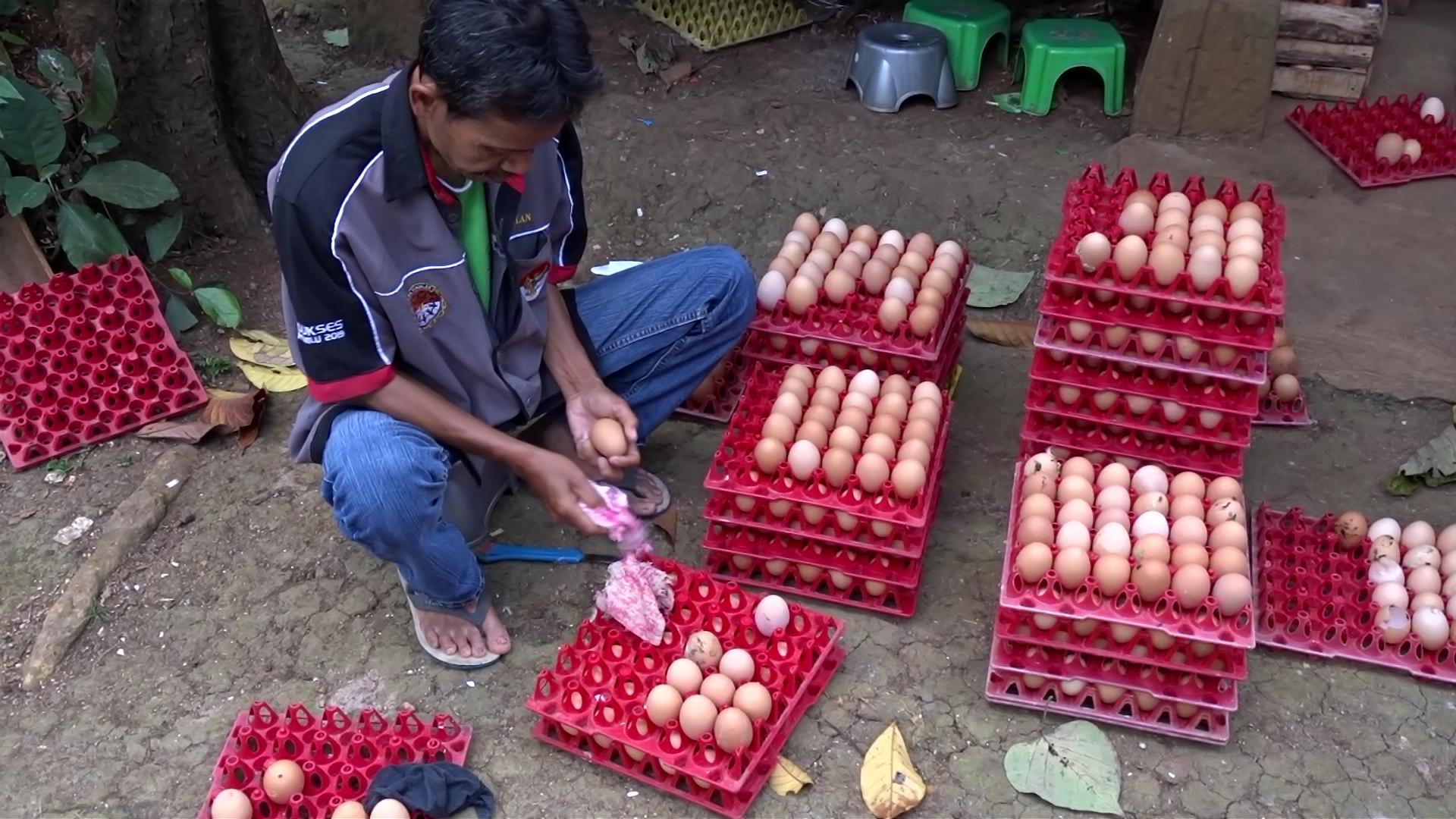 Harga telur ayam melambung tinggi, ini 3 penyebabnya