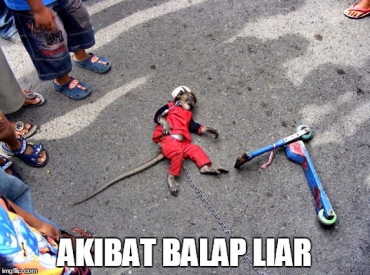 Meme-meme balap liar bikin ngekek nggak ketulungan