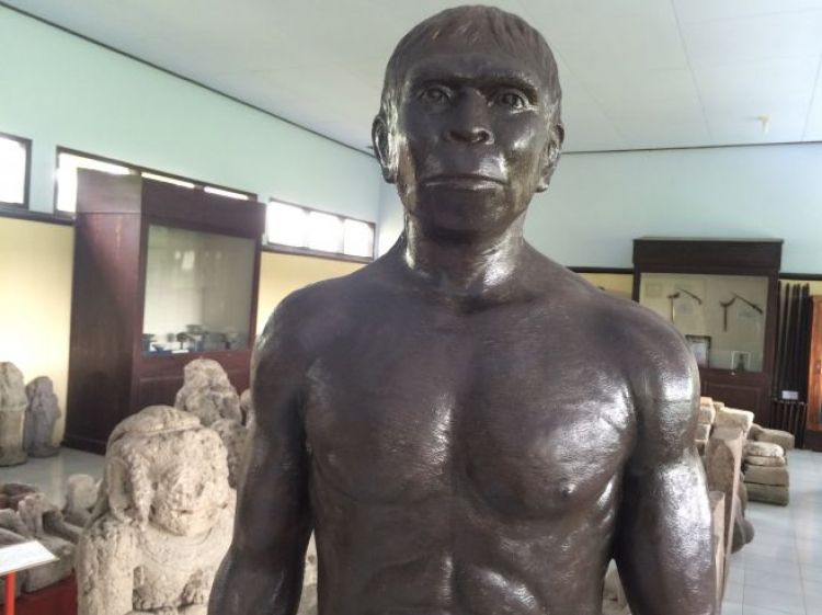 Discovering traces of one of Indonesias first humans