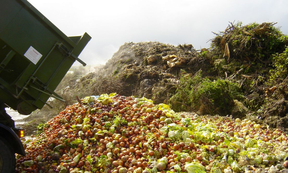 France to impose laws on food waste