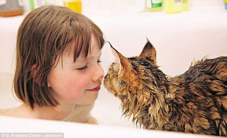 Kisah haru gadis kecil penderita autis ini belajar bicara dari kucing