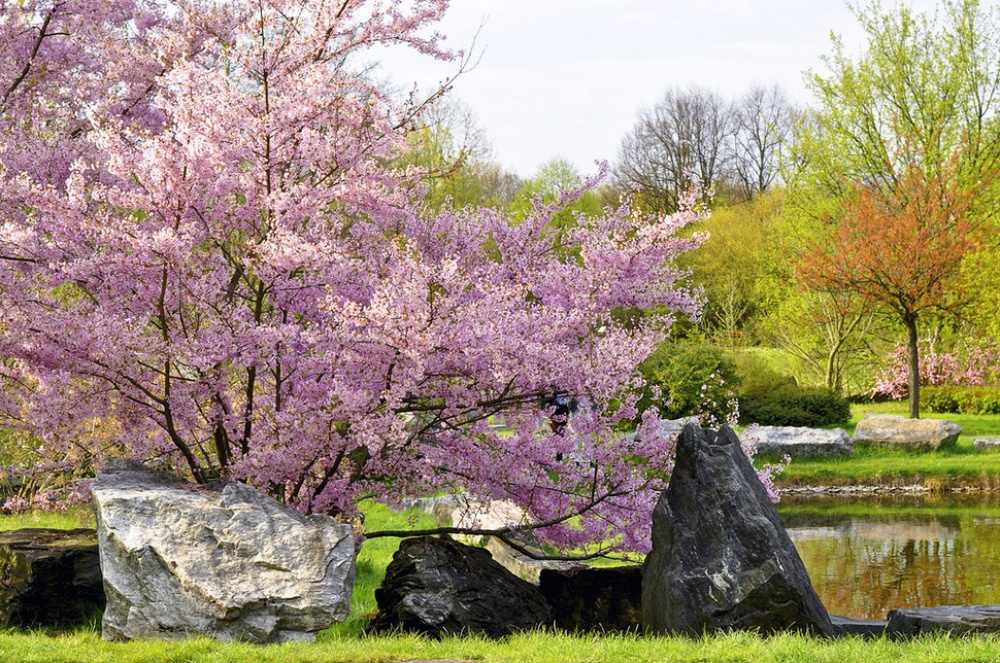 Berada di 15 tempat ini akan membuatmu serasa di taman surga