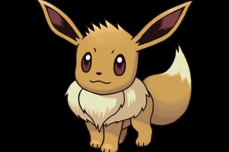 10 Jenis Pokemon ini paling sering dan mudah ditemukan!