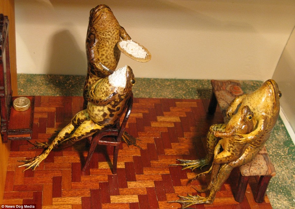 Museum katak ini tunjukkan miniatur bila katak jadi manusia!