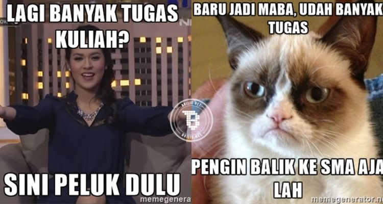 15 Meme 'tugas kuliah' ini siap hibur kamu yang baru jadi maba