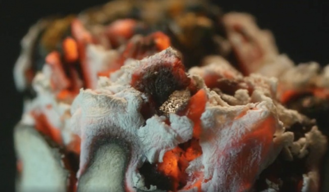 Bisakah kamu mengenali 14 objek yang dijepret close up ini?