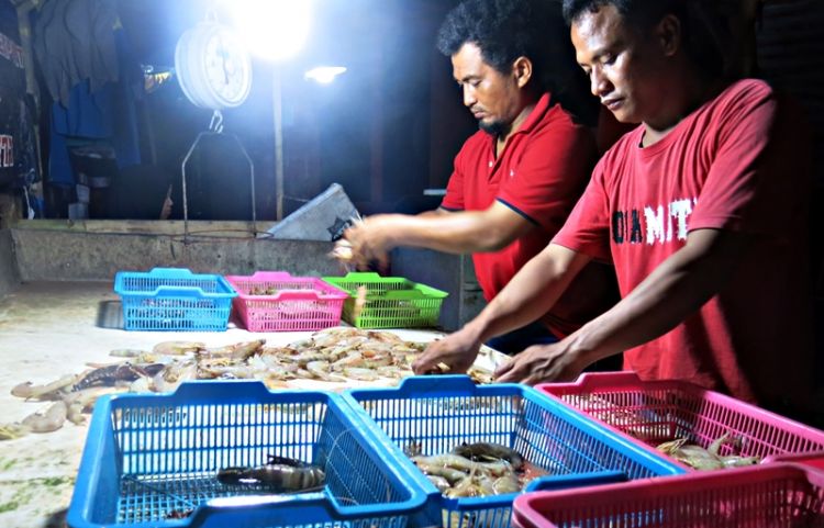 Beli ikan segar sekarang nggak perlu repot ke pasar, tinggal klik aja Beli ikan segar sekarang nggak perlu repot ke pasar, tinggal klik aja