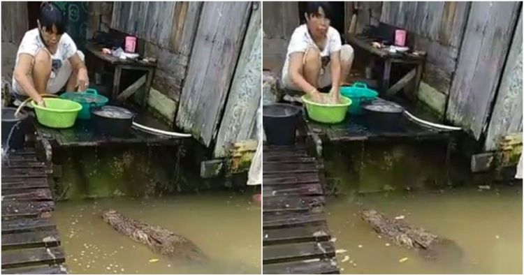 Viral video emak-emak santai nyuci ditemani buaya, gereget banget Viral video emak-emak santai nyuci ditemani buaya, gereget banget