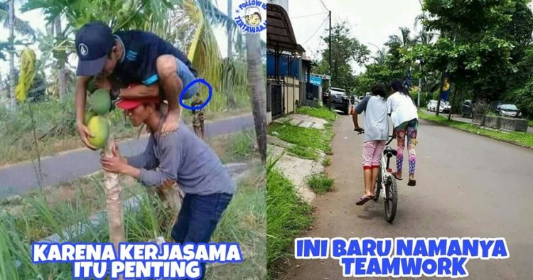 12 Meme lucu pentingnya kerja sama ini bikin nyengir kuda