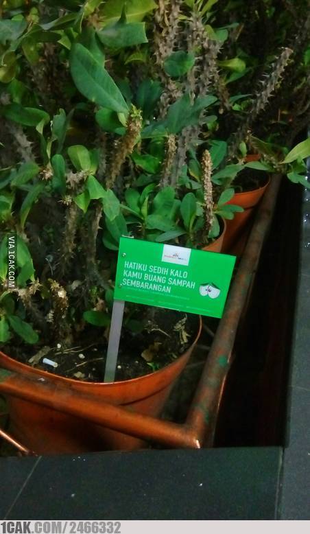 12 Kalimat di papan peringatan ini absurdnya bikin baper