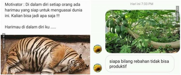 10 Meme rebahan ini bikin rasa bosan di rumah jadi hilang