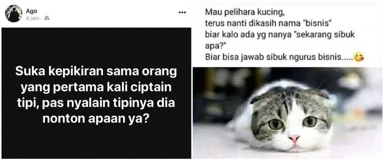 10 Status FB lucu pemikiran nyeleneh ini bikin geleng kepala