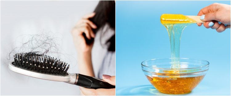6 Cara membuat masker alami untuk rambut rontok, tanpa efek samping