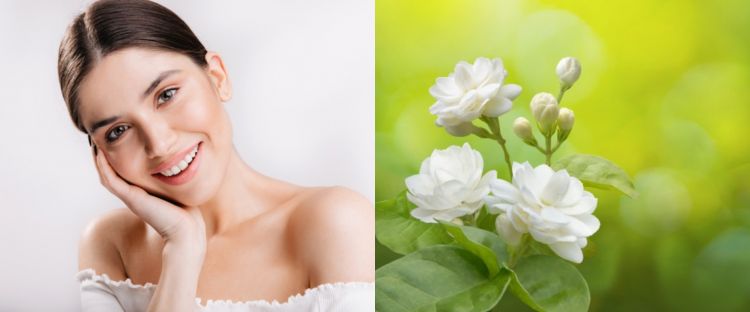 10 Manfaat bunga melati untuk kecantikan, mampu melembapkan kulit