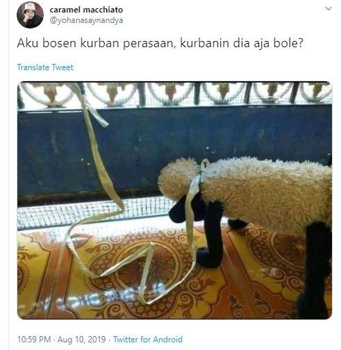 20 Meme lucu hewan kurban pas Idul Adha ini bikin baper