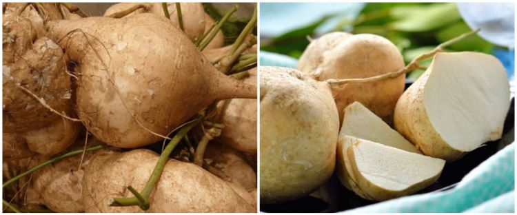 12 Manfaat bengkoang untuk kesehatan, baik untuk jantung