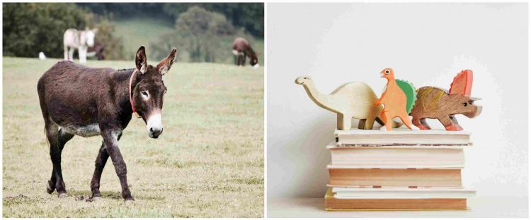 7 Contoh teks fabel lengkap dengan pesan moral dan penjelasan struktur