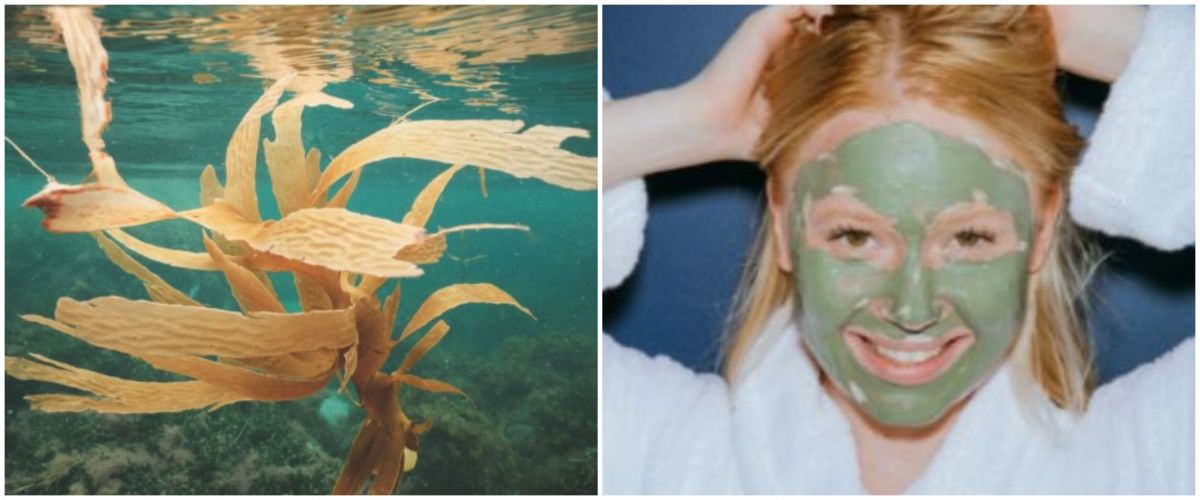 7 Daftar skincare dengan bahan aktif dari laut, gunakan marine alga
