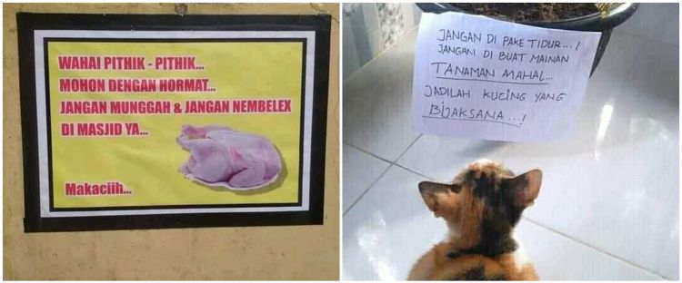 21 Peringatan lucu untuk hewan, isinya nyeleneh banget