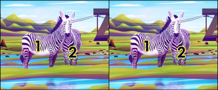 Ambisius atau lempeng? Coba cek kepribadianmu lewat tes gambar ini