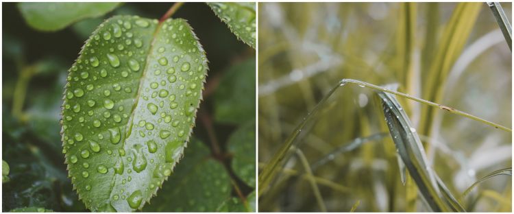 Kondensasi adalah pengembunan, ketahui penyebab dan proses terjadinya