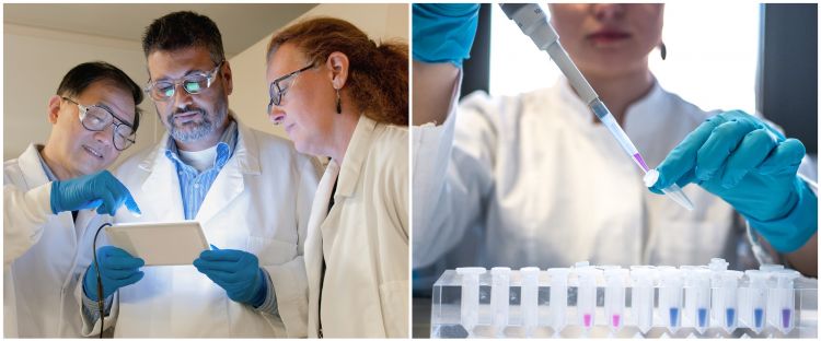 Kajian empiris adalah, ketahui definisi, jenis-jenis, dan contohnya