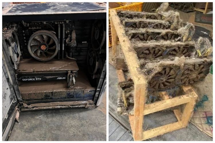 Poster Lucu | Brilio.net