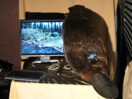 11 Potret lucu modifikasi komponen komputer, antara hemat dan pelit ...