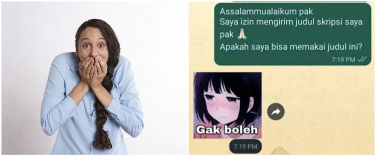 13 Balasan chat lucu dosen pakai stiker WhatsApp ini bikin mahasiswa ...