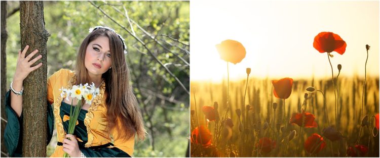 11 Arti mimpi melihat bunga, jadi tanda kebahagiaan dan keberuntungan ...