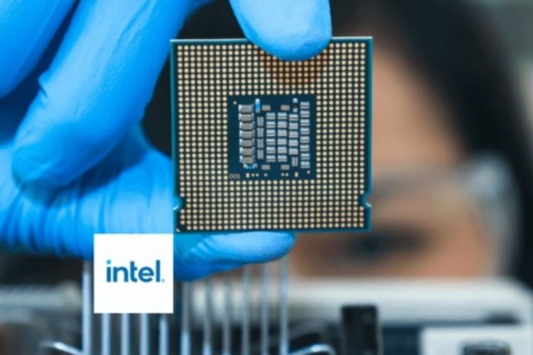 Daun Jeruk | Brilio.net