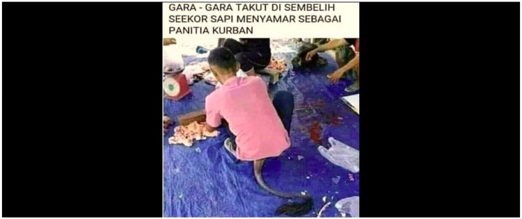Momen meriah setahun sekali, 11 potret kocak kelakukan panitia kurban ...
