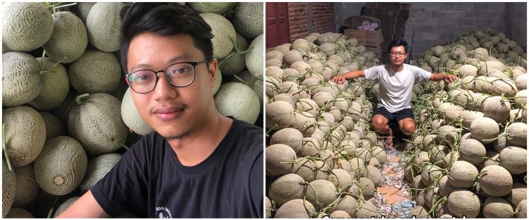 Jadi petani muda di kala pandemi, kisah pria sukses usaha melon hingga ...