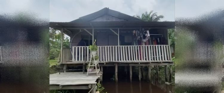 Berada di atas rawa, 11 potret rumah ungu dinding kayu dan atap seng ...