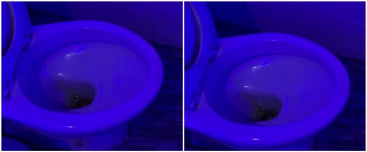 Toilet di atas gedung ini viewnya cakep banget, buang hajat bisa lihat ...