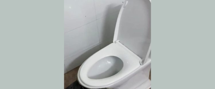 Toilet dilengkapi jamban nyeleneh ini jatuhnya bikin bingung yang mau ...
