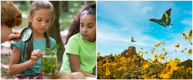 Contoh text narrative bahasa Inggris kelas 9 tentang fenomena alam ...