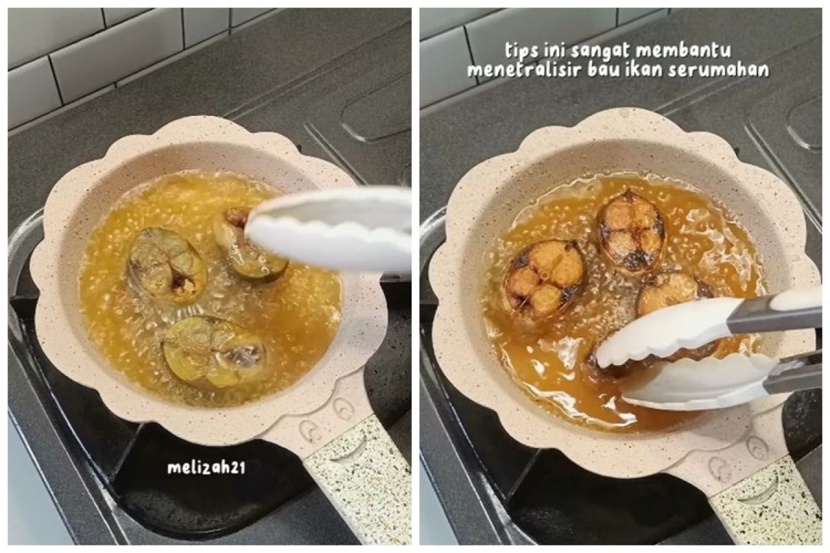 Without a smoke extractor, here's a trick for frying fish so that the ...