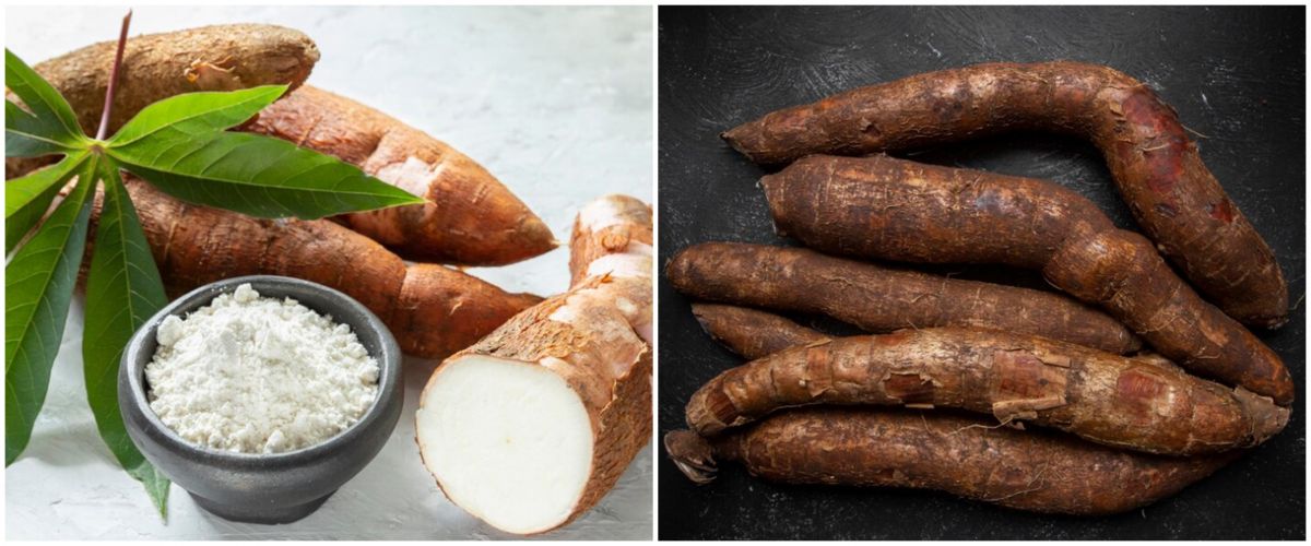 9 Benefits of cassava for health, superfood that can fight stomach cancer