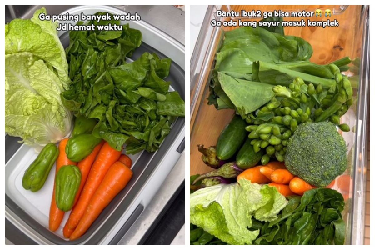 Not wrapped in tissue paper, how to store cucumbers so they stay fresh ...