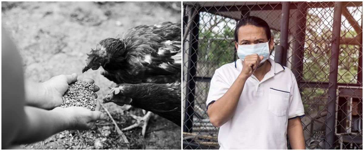 Bird flu is a global threat that must be aware of, recognize the ...