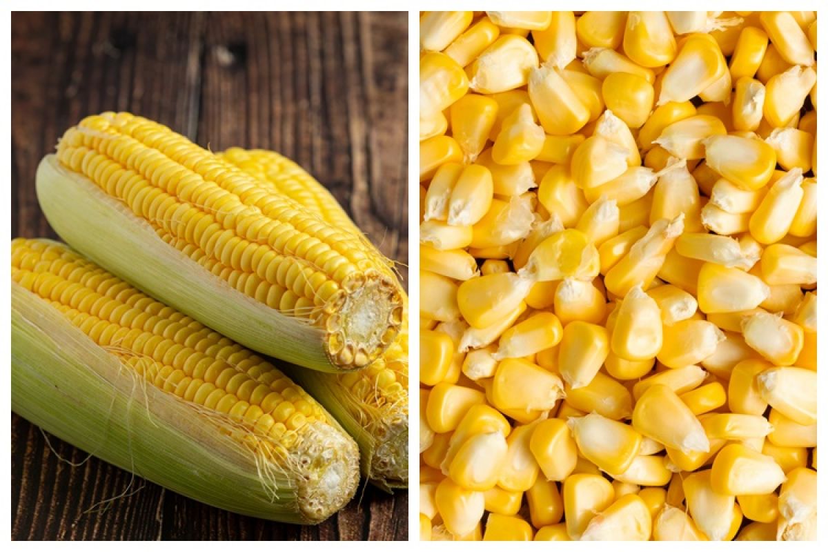 Without a knife, this is how to shell corn so that the results are ...