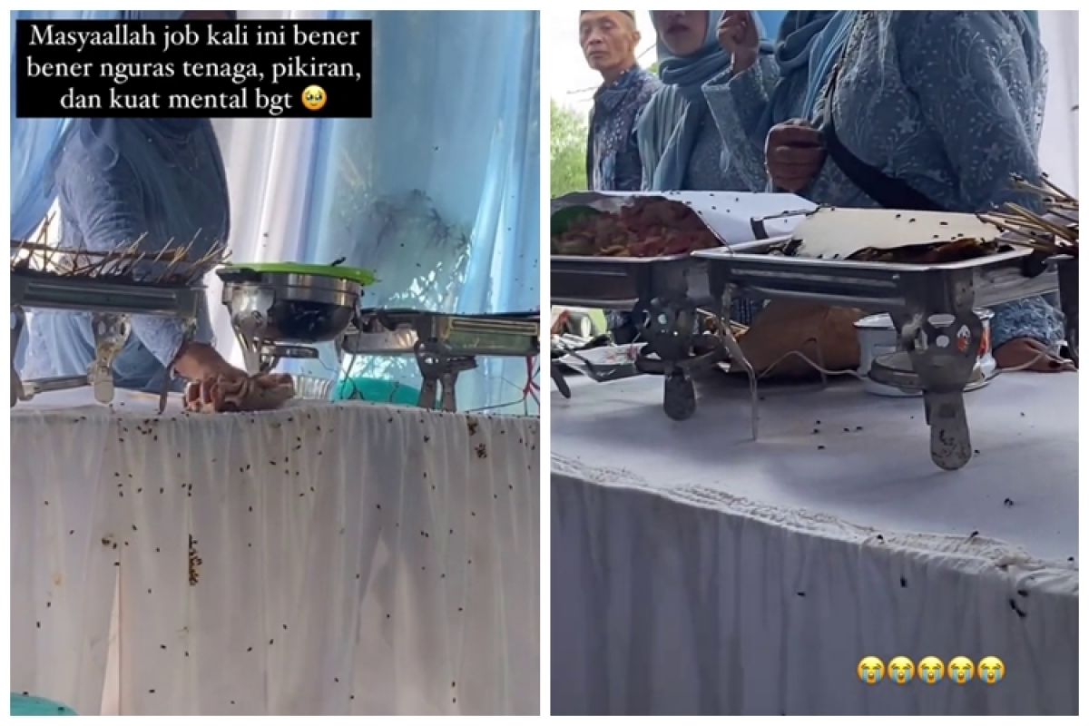 Viral wedding dishes filled with flies make you shudder, here's a ...