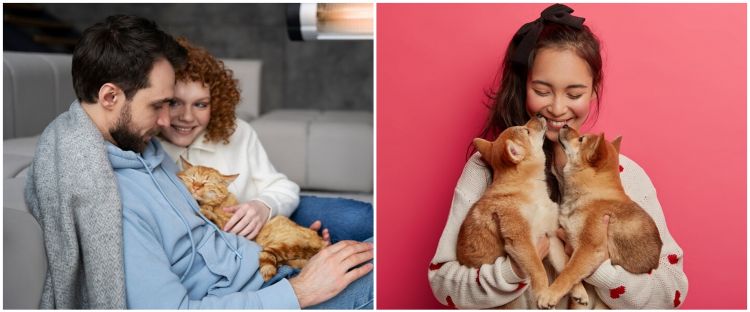 55 Gombalan lucu yang romantis pakai nama hewan, bikin gebetan jatuh hati