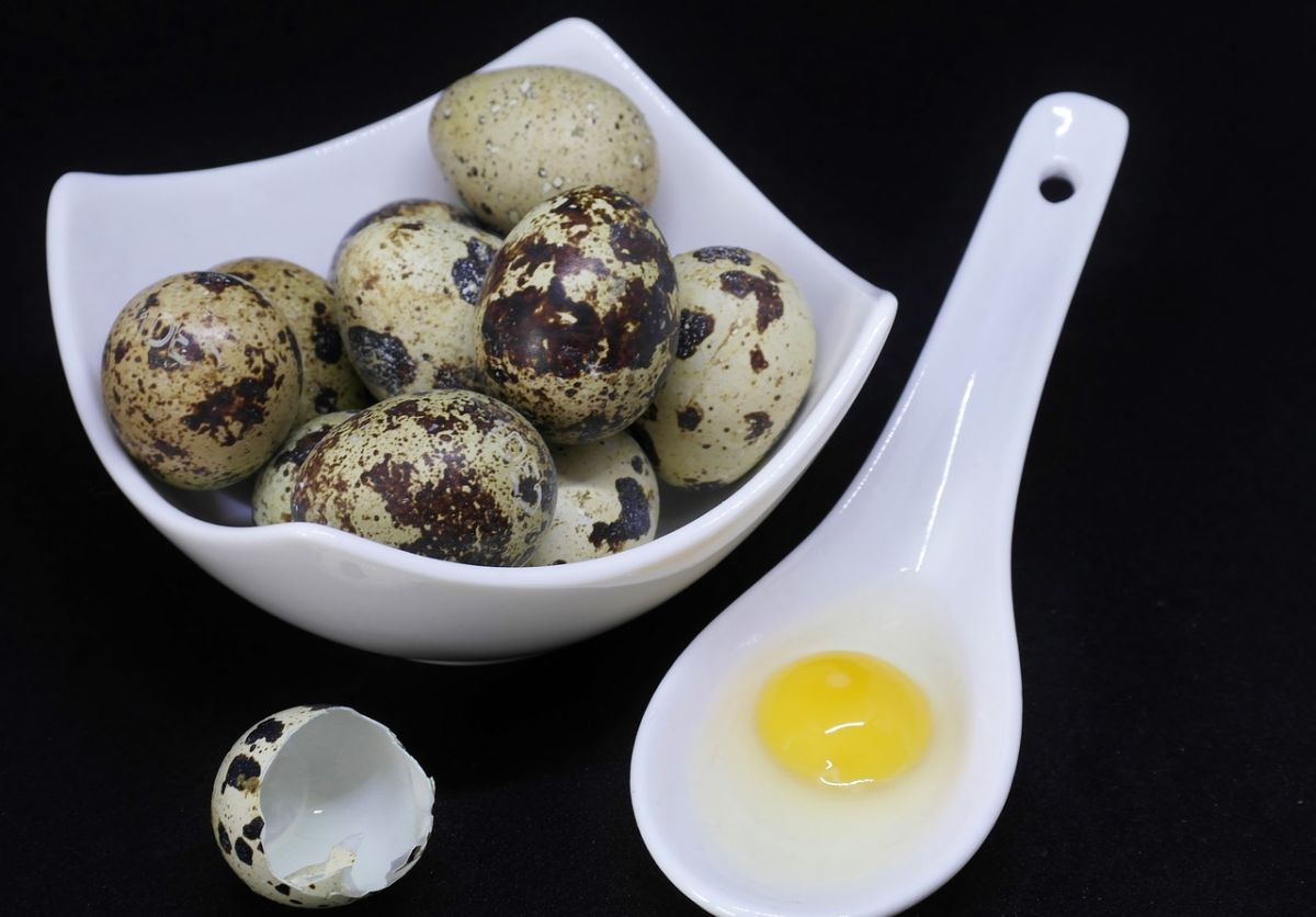 [QUIZ] Do you like quail eggs? Check how much you know with these 7 ...