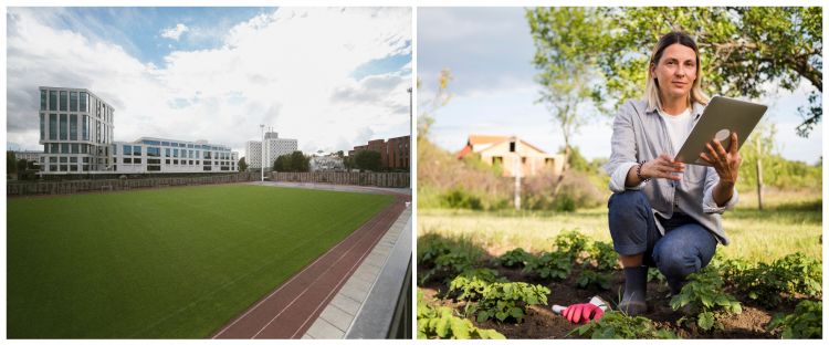 5 Contoh teks laporan hasil observasi tentang lapangan sekolah, lengkap ...