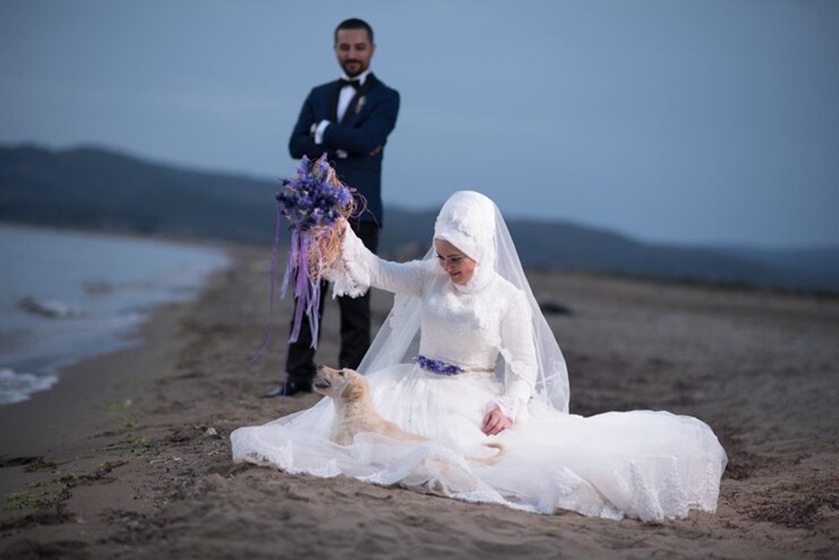Briefly explain the three types of marriage that are prohibited by ... Briefly explain the three types of marriage that are prohibited by ...