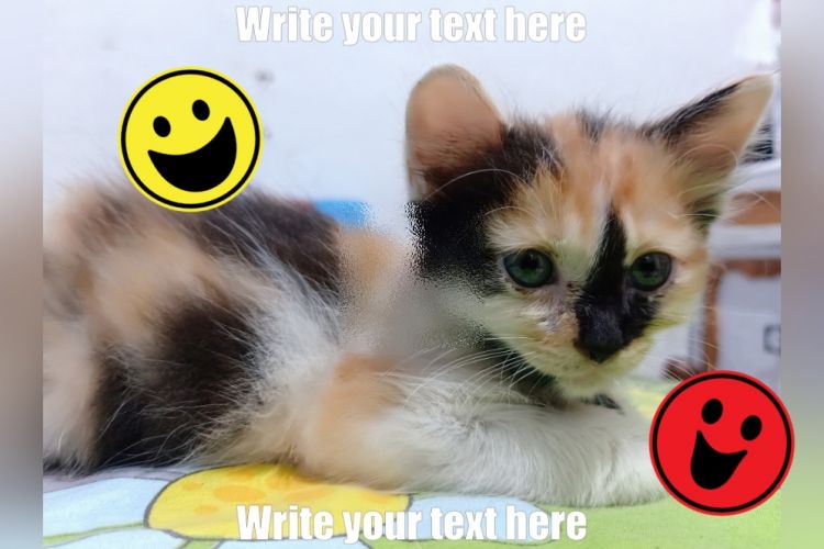 6 Rekomendasi generator meme yang ramah pengguna, bisa digunakan untuk ...