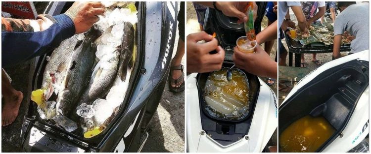 [KUIS] Dari motor yang kamu punya, kami bisa tebak isi bagasi motor ...